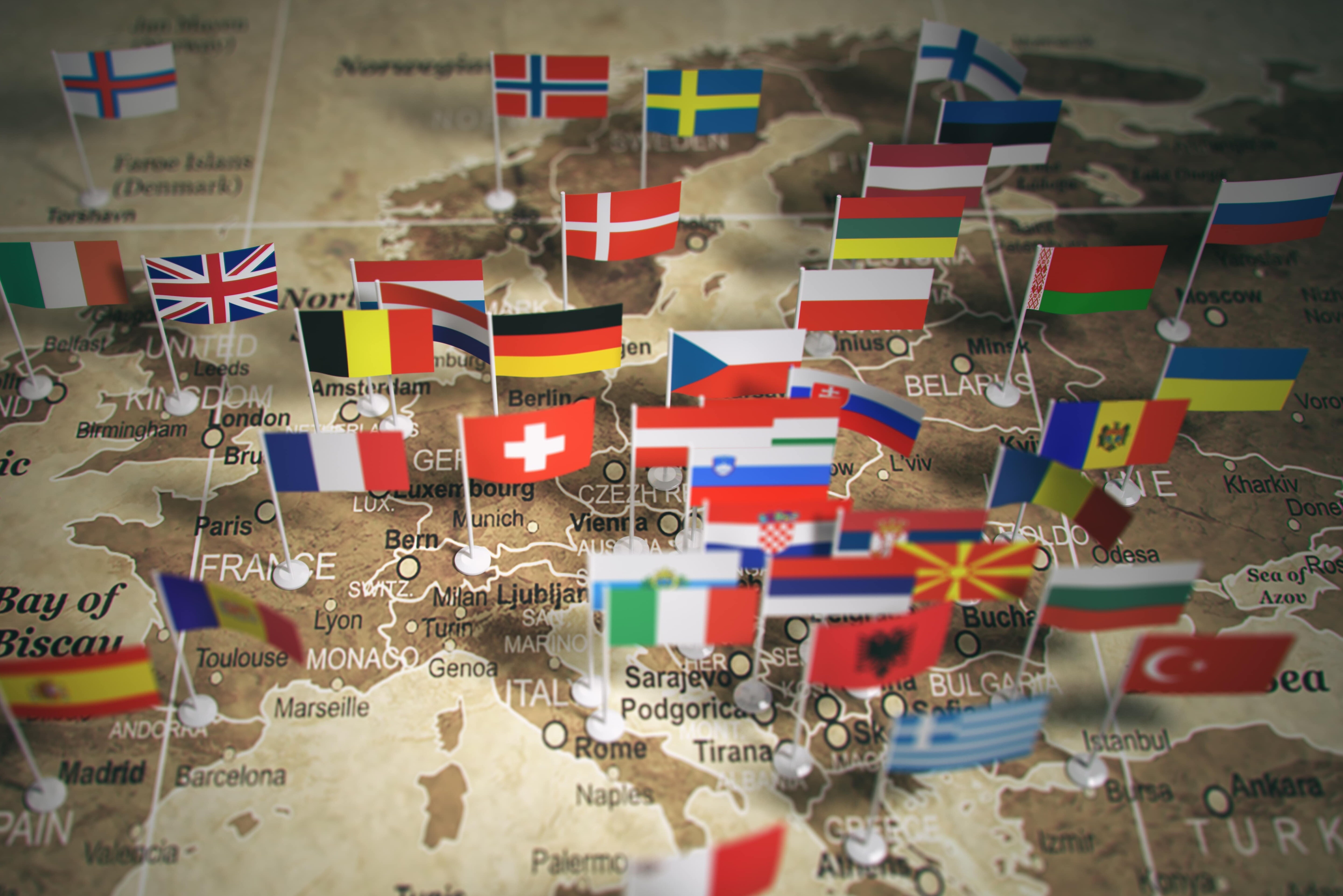 Class Bridge - Our Courses